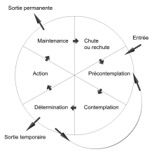 Le modèle transthéorique du changement de Prochaska et DiClemente - Nos ...