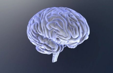 Le syndrome de la main étrangère - Nos Pensées